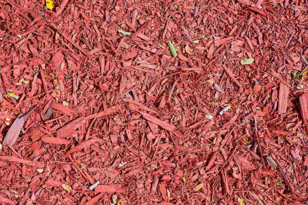 What Is Mulching in Agriculture and Its Benefits?
