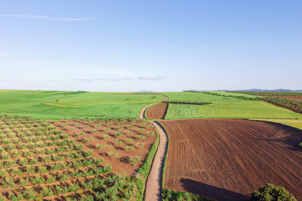 Advantages and Disadvantages of Crop Rotation in Agriculture