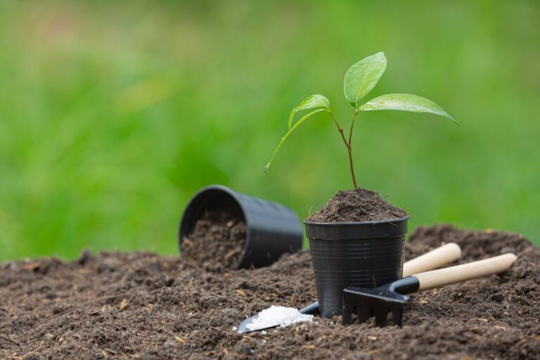 Advantages and Disadvantages of Human Power in Agriculture