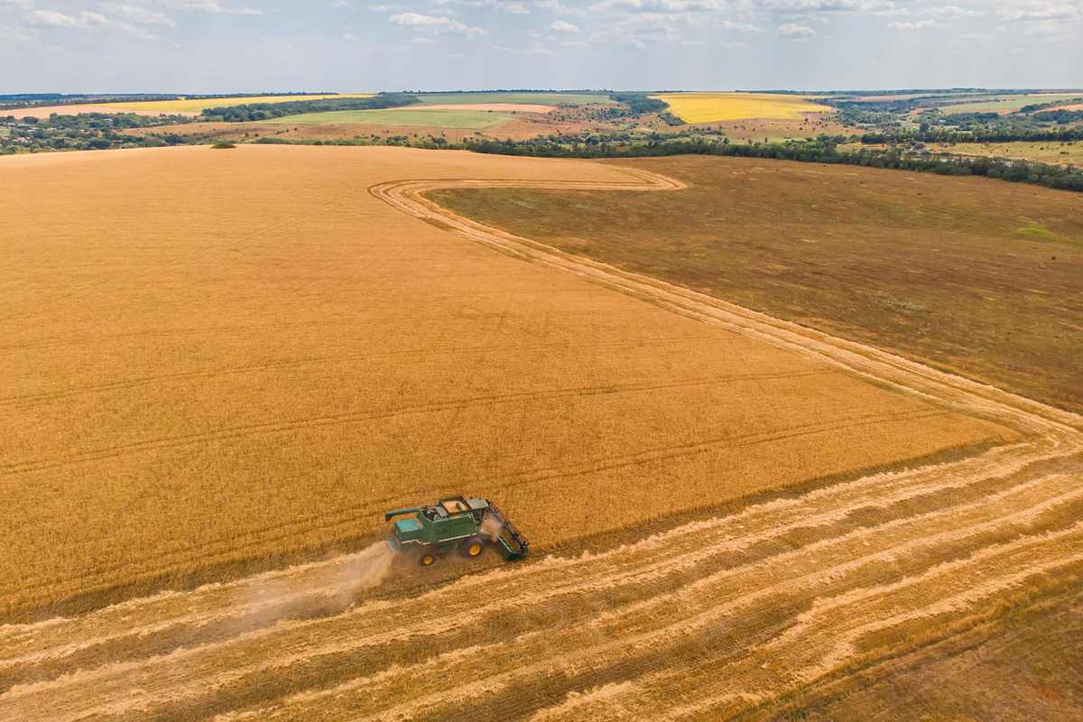 Rainfed Agriculture and Dryland Agriculture