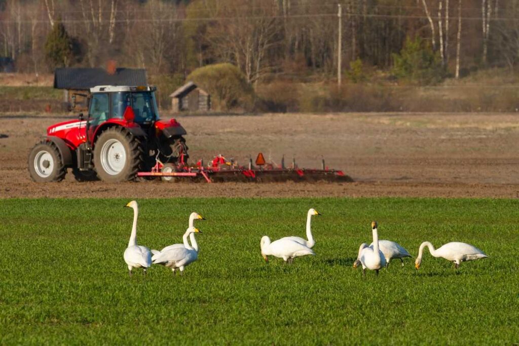 Tillage in Agriculture: Types and Importance