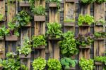 Advantages and Disadvantages of Vertical Farming