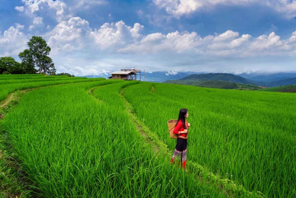 Agritourism: Definition, Benefits, and Example