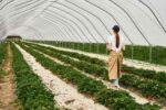 Advantages and Disadvantages of Greenhouse Farming